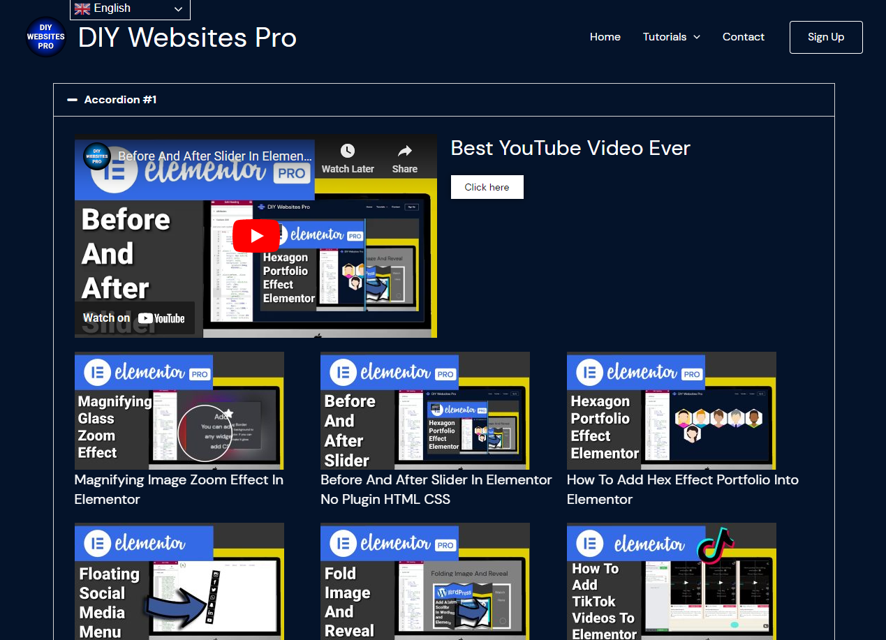 Make A Better Accordion In Elementor - DIY Websites Pro 2025